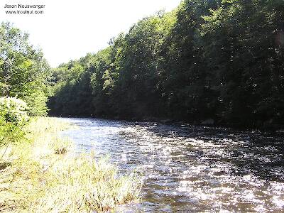 The Beaverkill River, New York