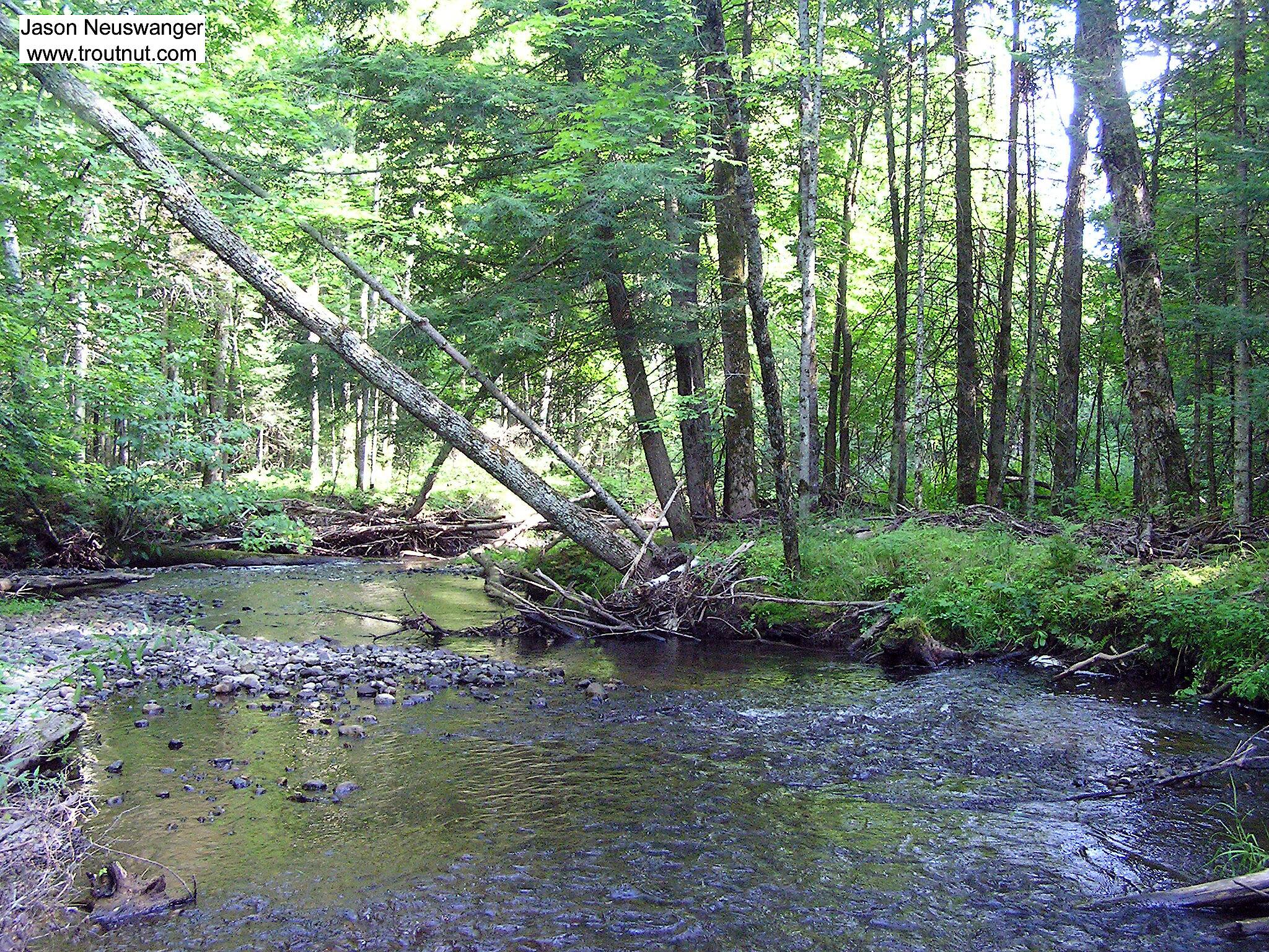 Devil's Creek, Wisconsin