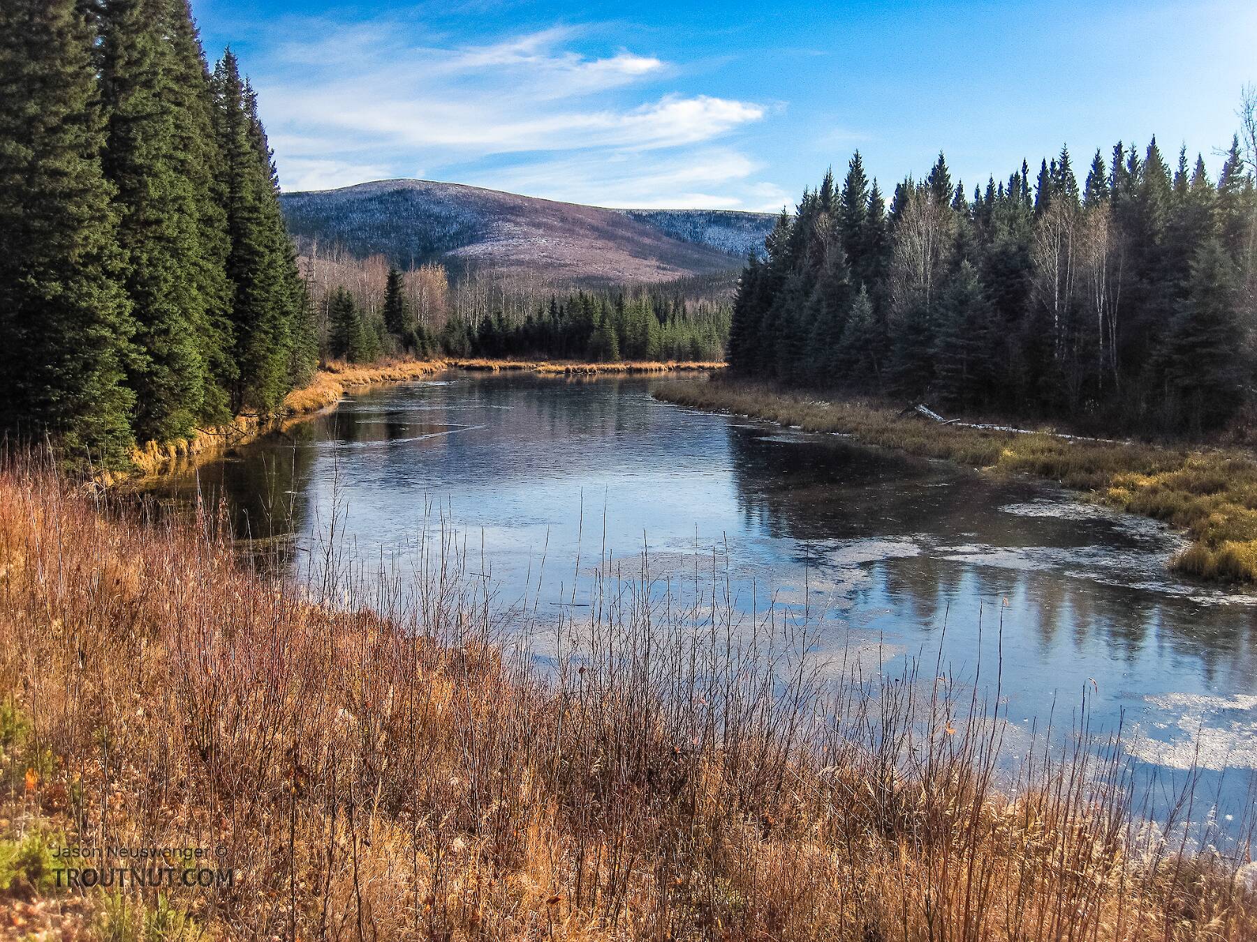 The Chena River, Alaska