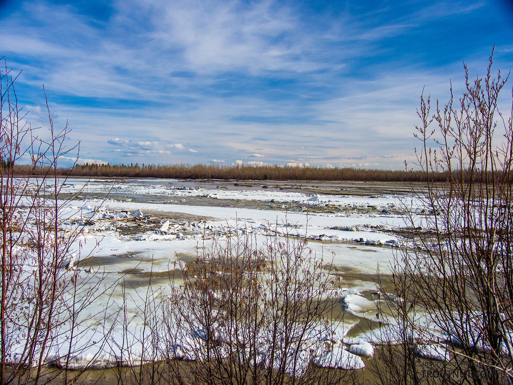 The Tanana River, Alaska