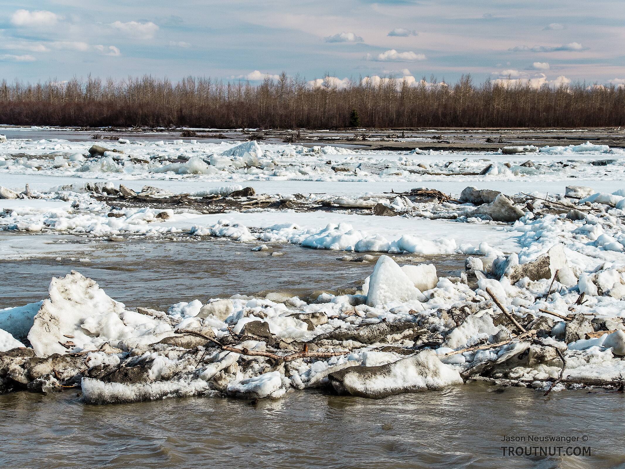 The Tanana River, Alaska