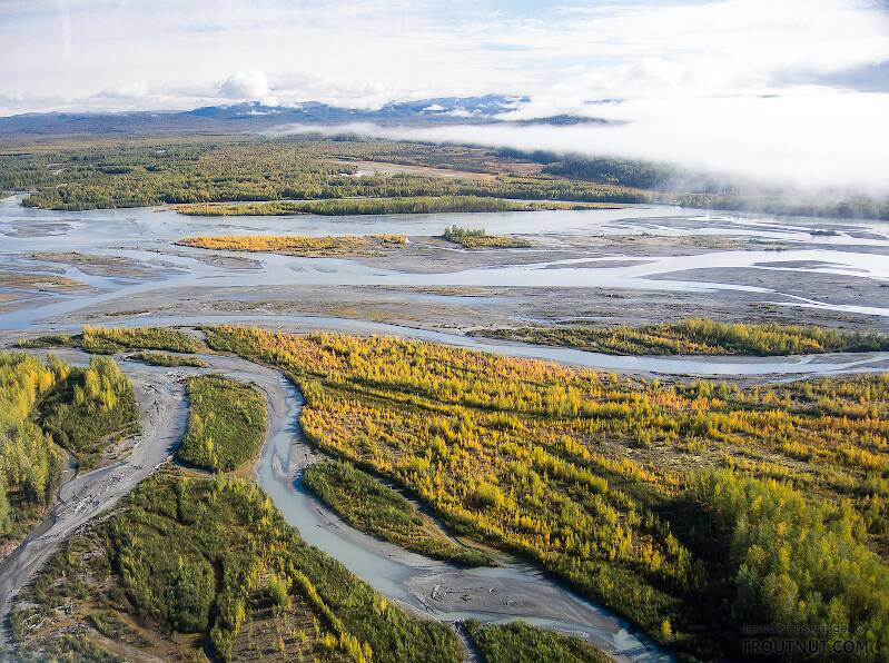 The Susitna River, Alaska