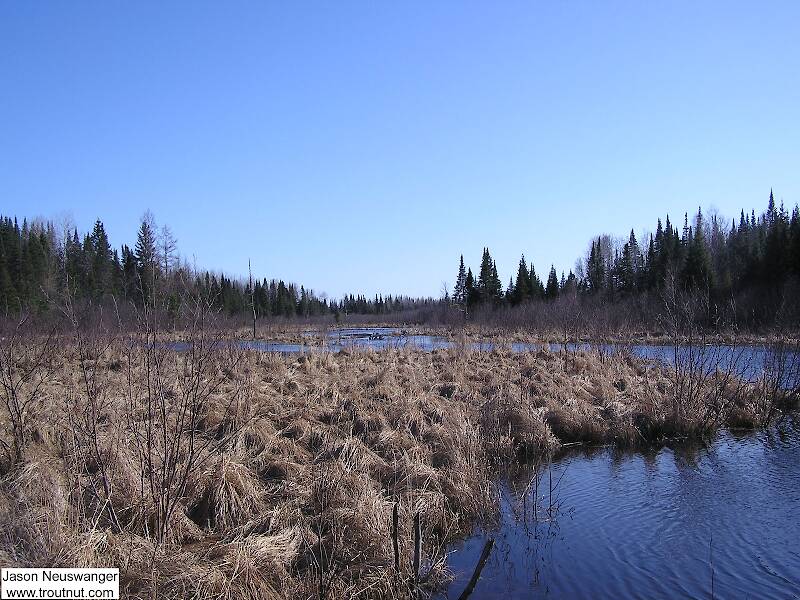 Eddy Creek, Wisconsin