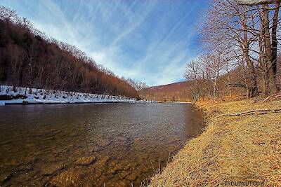 The Beaverkill River, New York