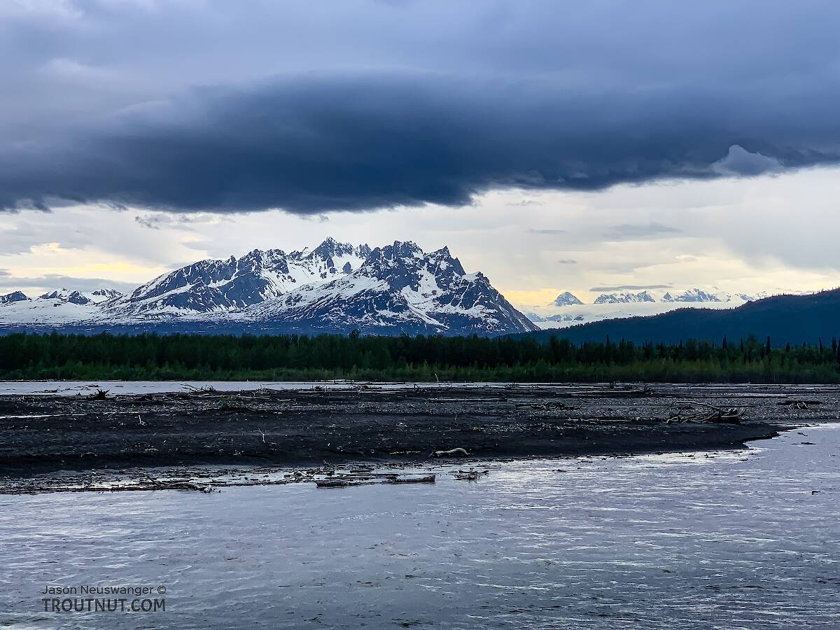 Exploring a favorite Alaskan stream