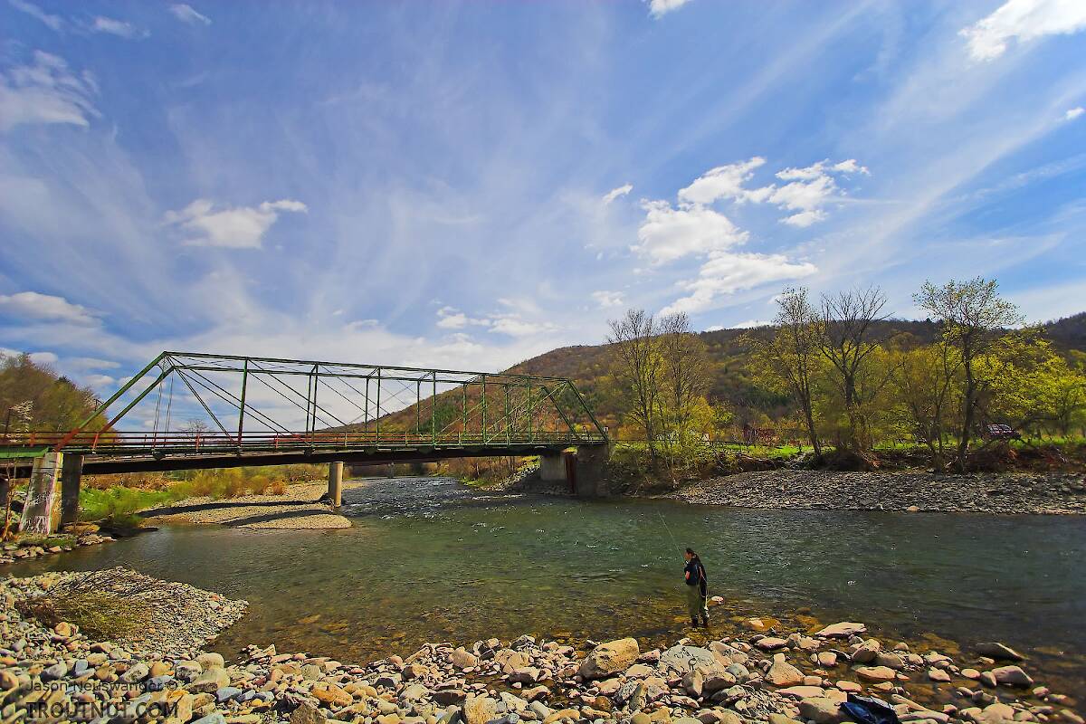 The Beaverkill River, New York