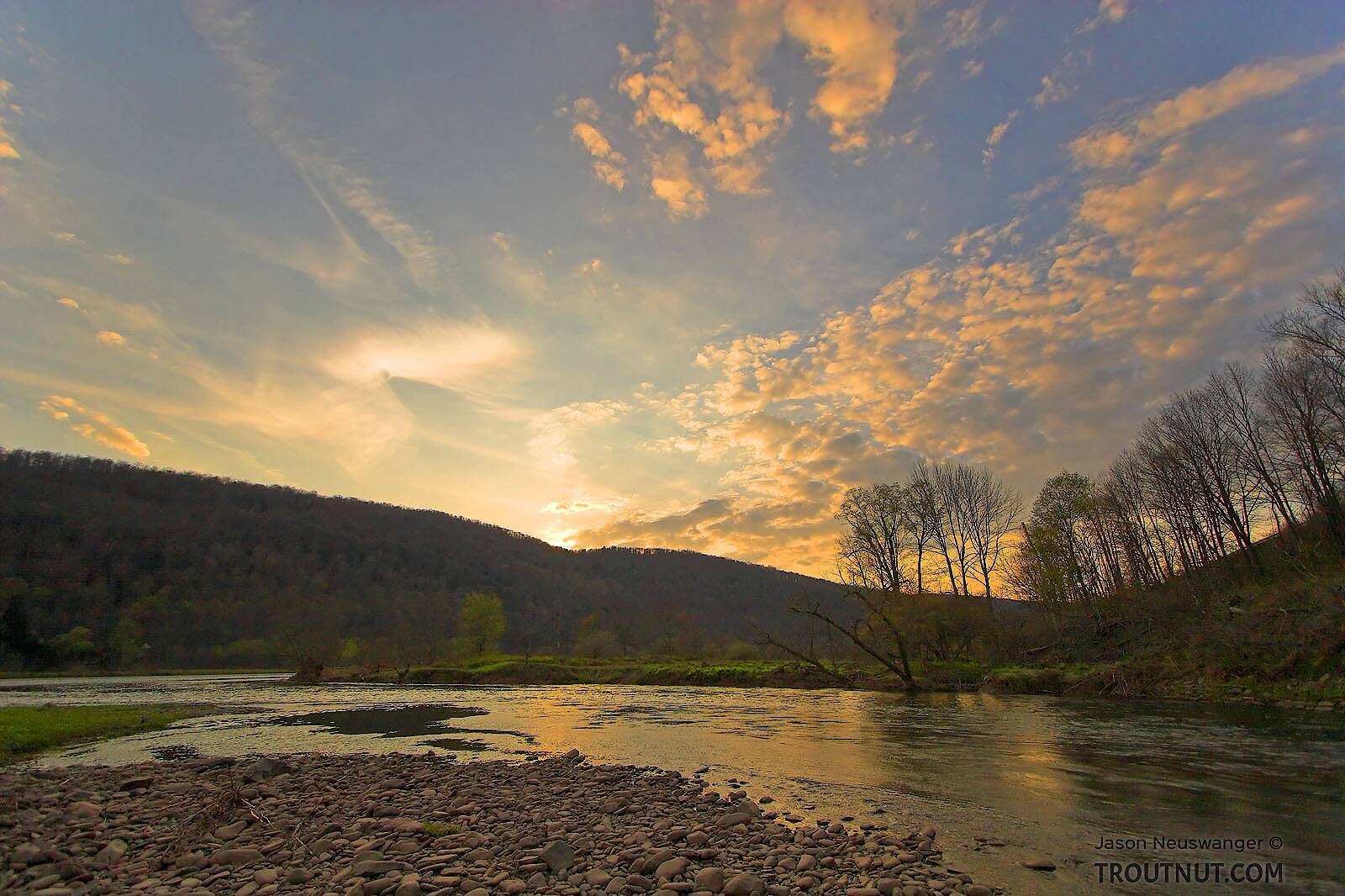 The West Branch of the Delaware River, New York