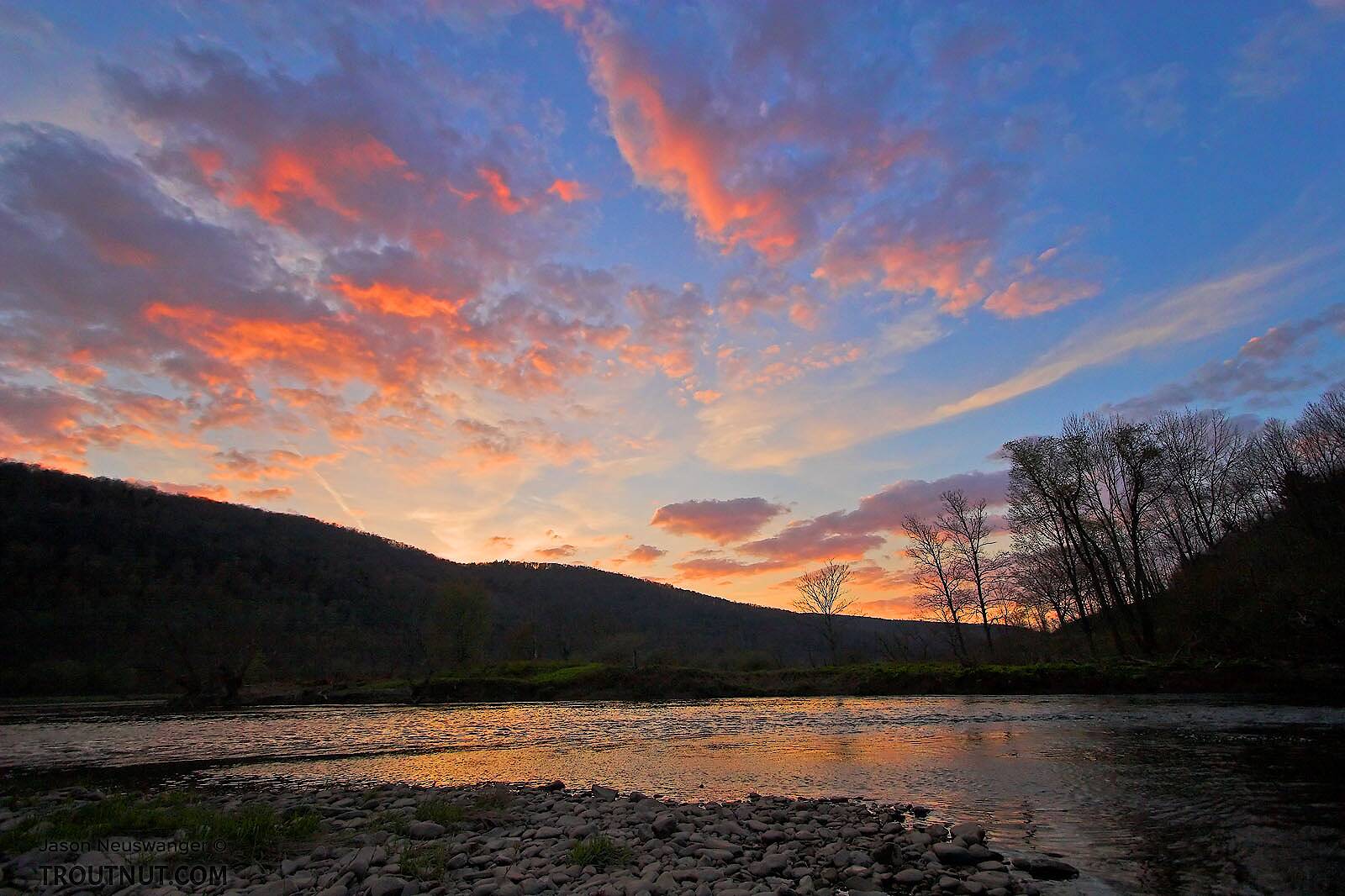 The West Branch of the Delaware River, New York