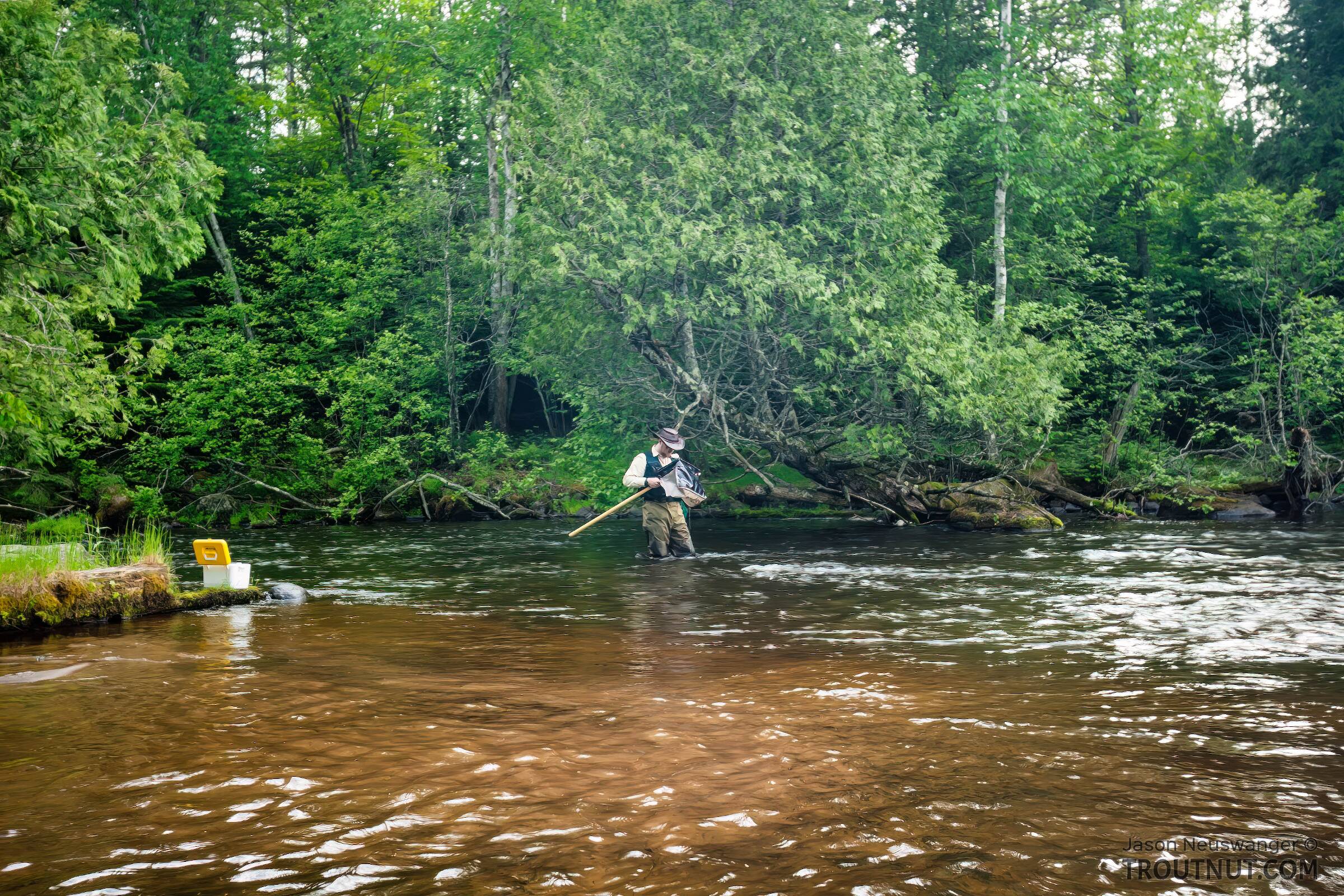The Bois Brule River, Wisconsin