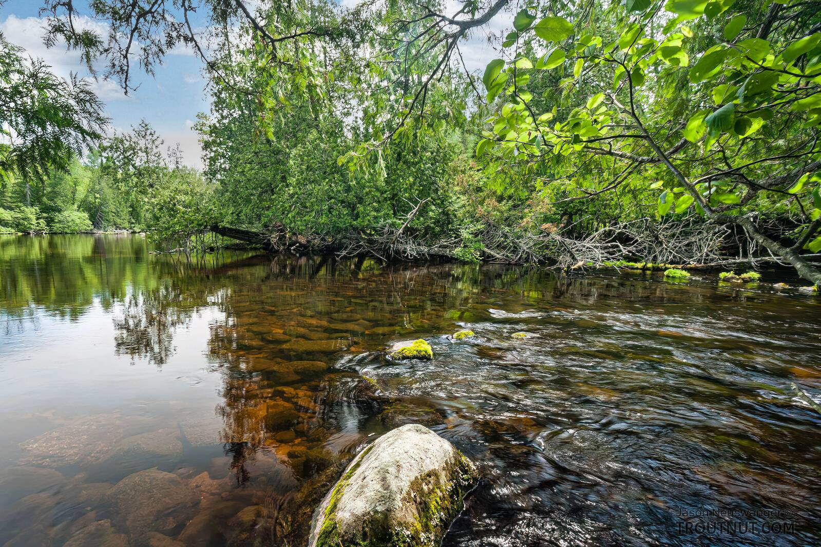 The Bois Brule River, Wisconsin