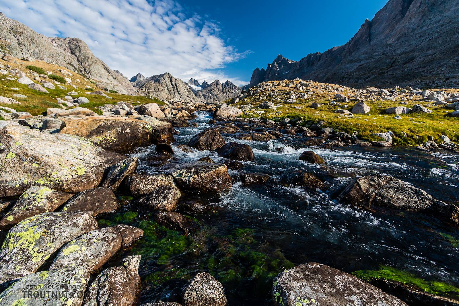 Taxonomic Keys for Aquatic Invertebrate Identification