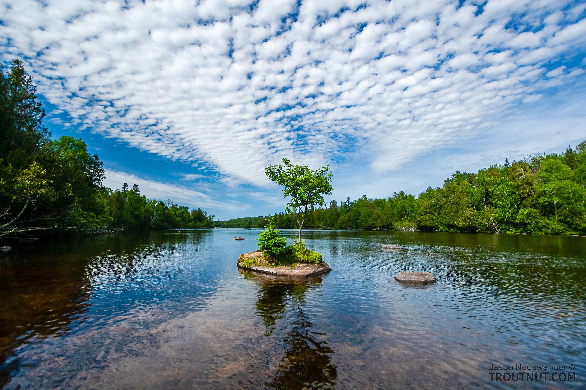 The Bois Brule River, Wisconsin