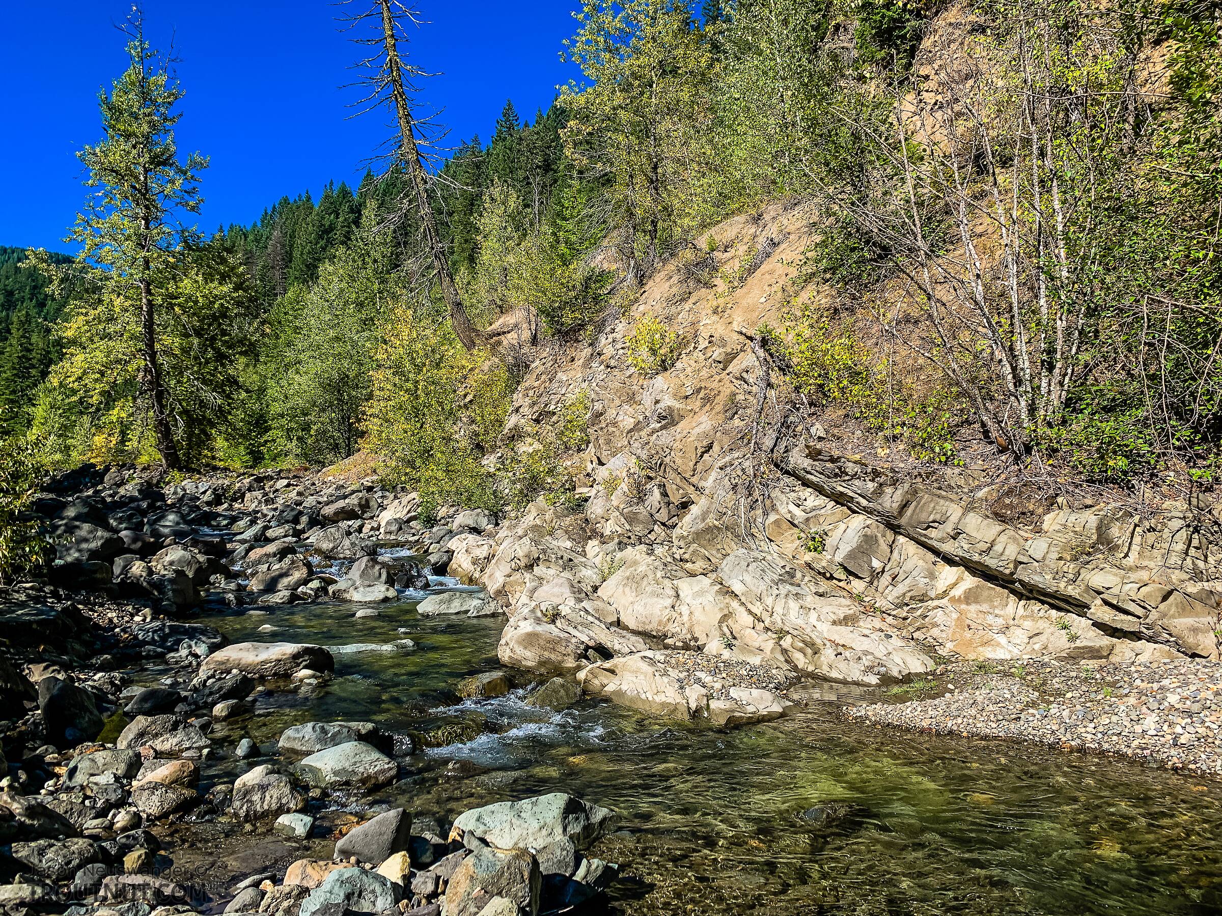 Dinking around on a small stream