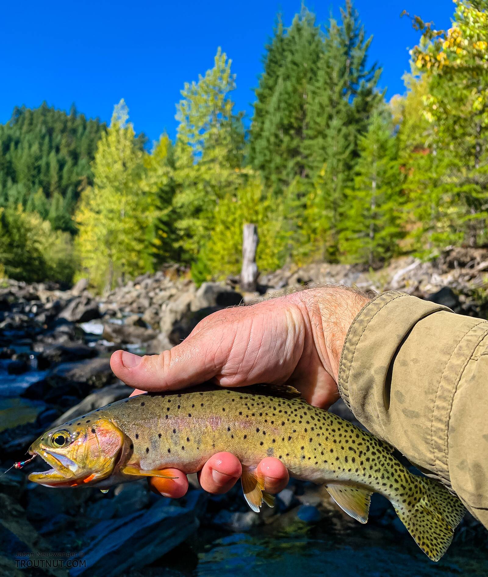 Dinking around on a small stream