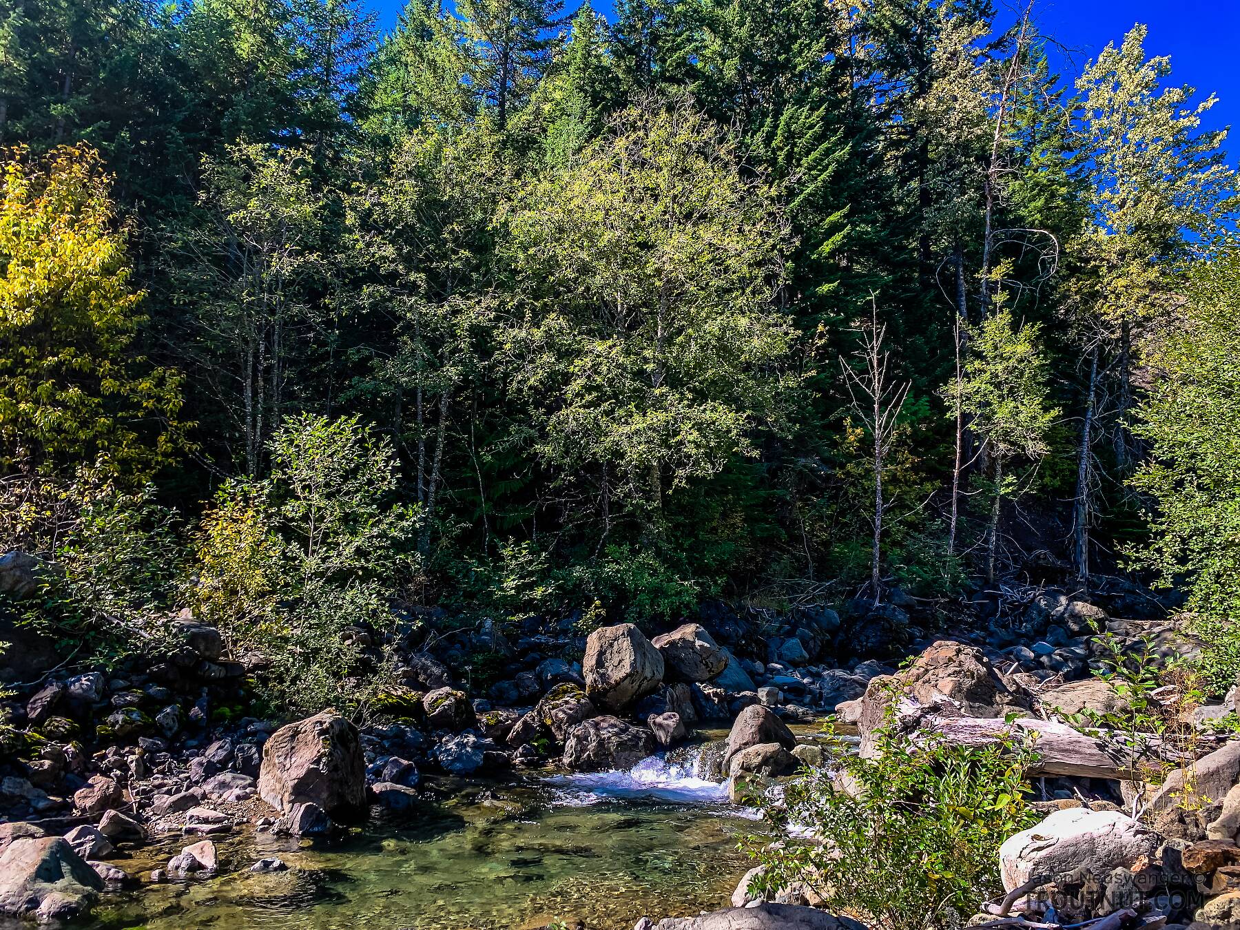 Dinking around on a small stream