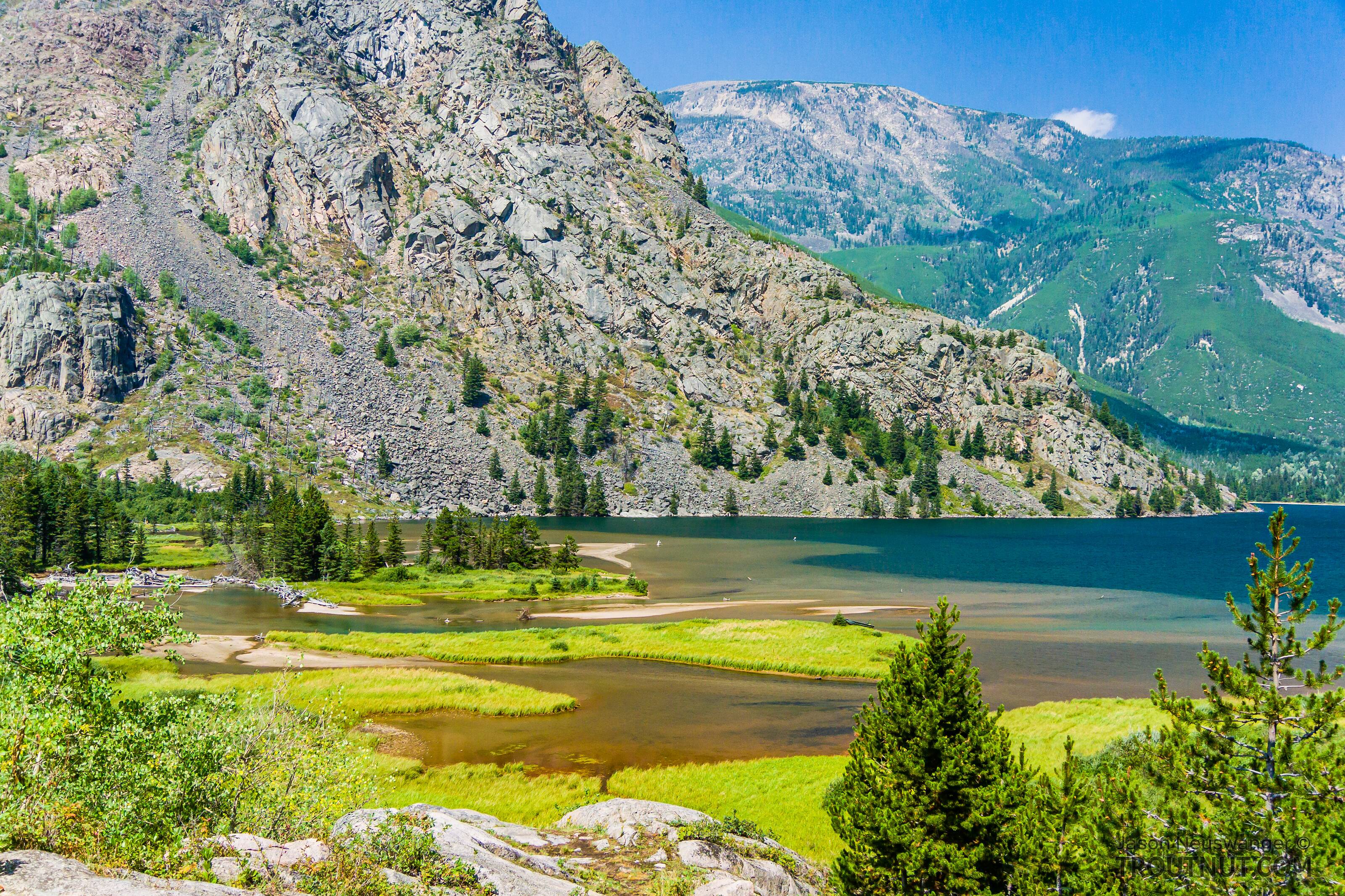 Troutnut's Nature Pictures, Page 3