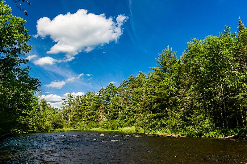 The Namekagon River, Wisconsin