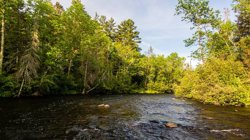 The Namekagon River, Wisconsin