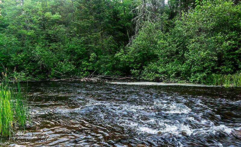 The Namekagon River, Wisconsin