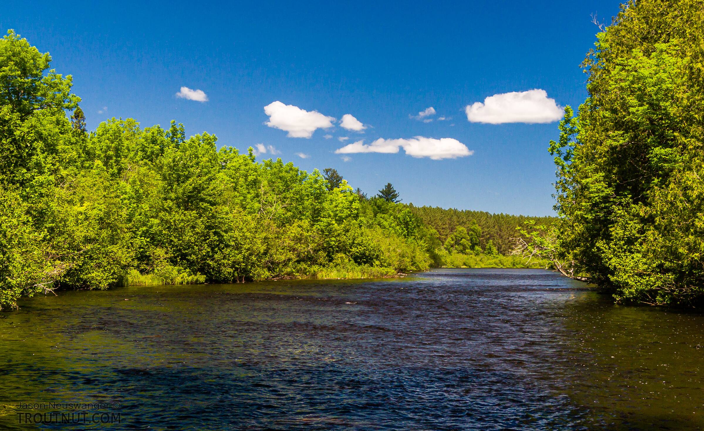 The Namekagon River, Wisconsin