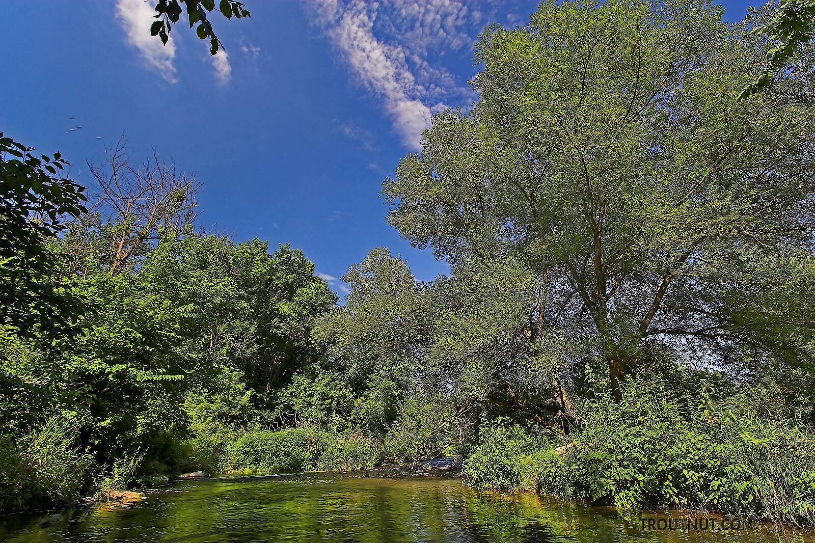 The Rush River, Wisconsin