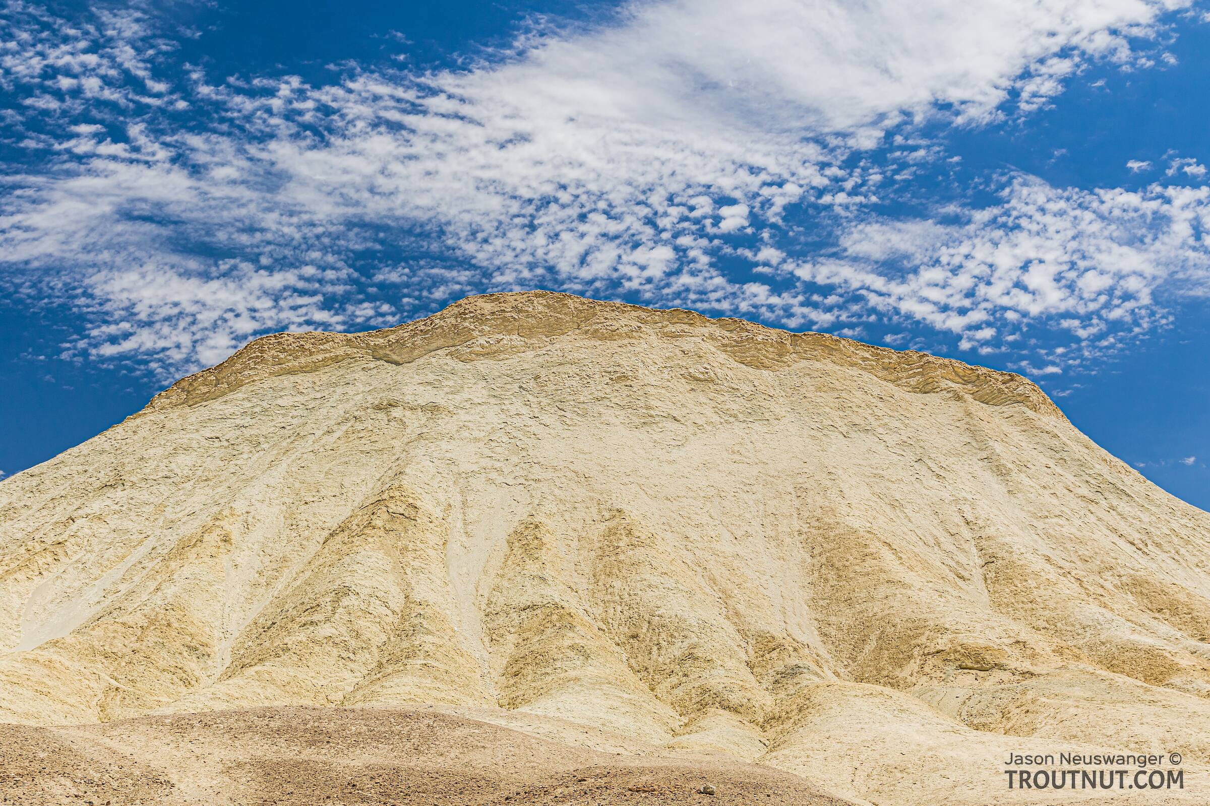 Troutnut's Nature Pictures, Page 3