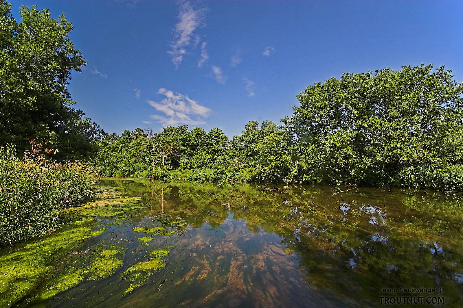 The Rush River, Wisconsin