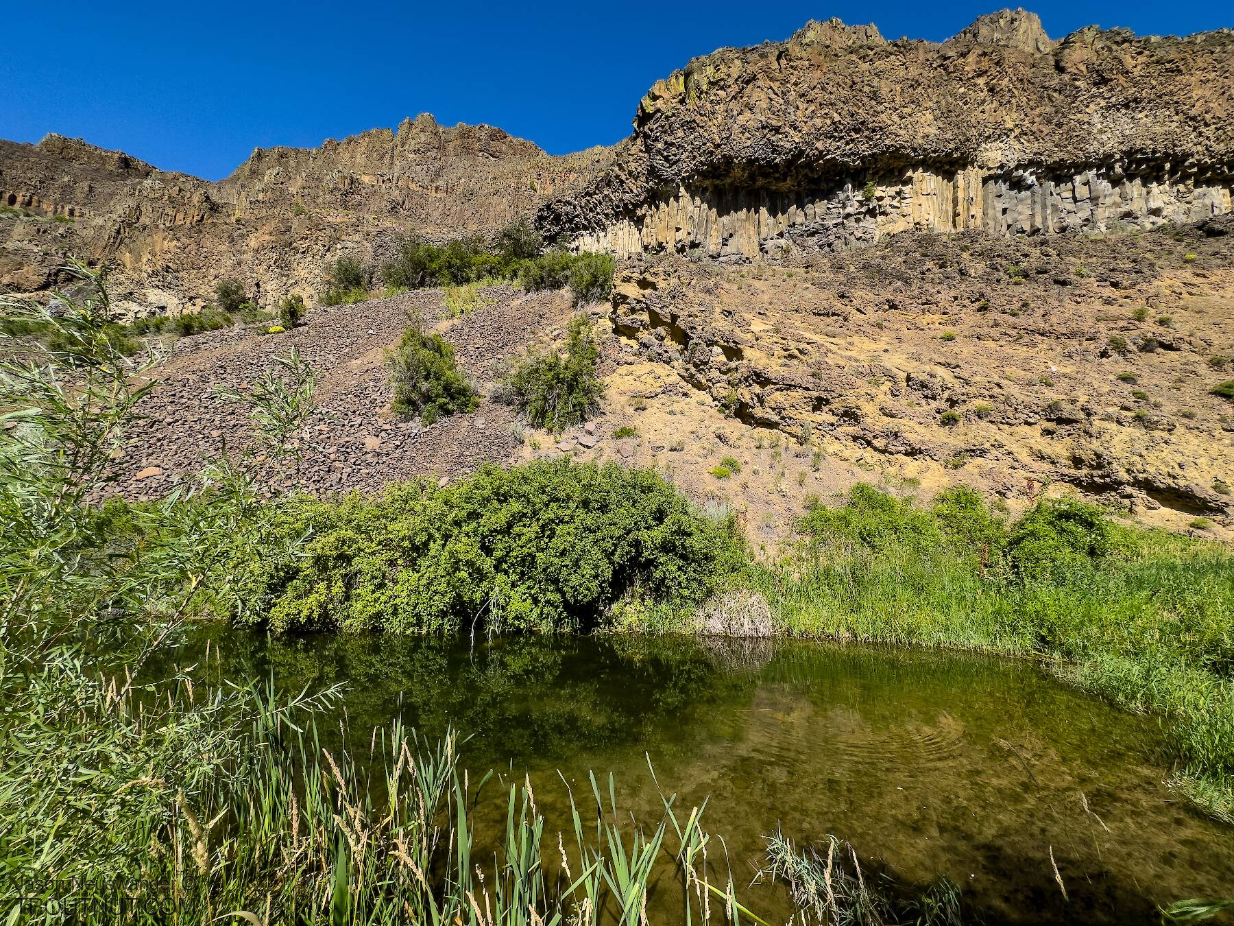 Troutnut Forum > Fly Fishing Gear: Rods, Reels, Lines, etc.