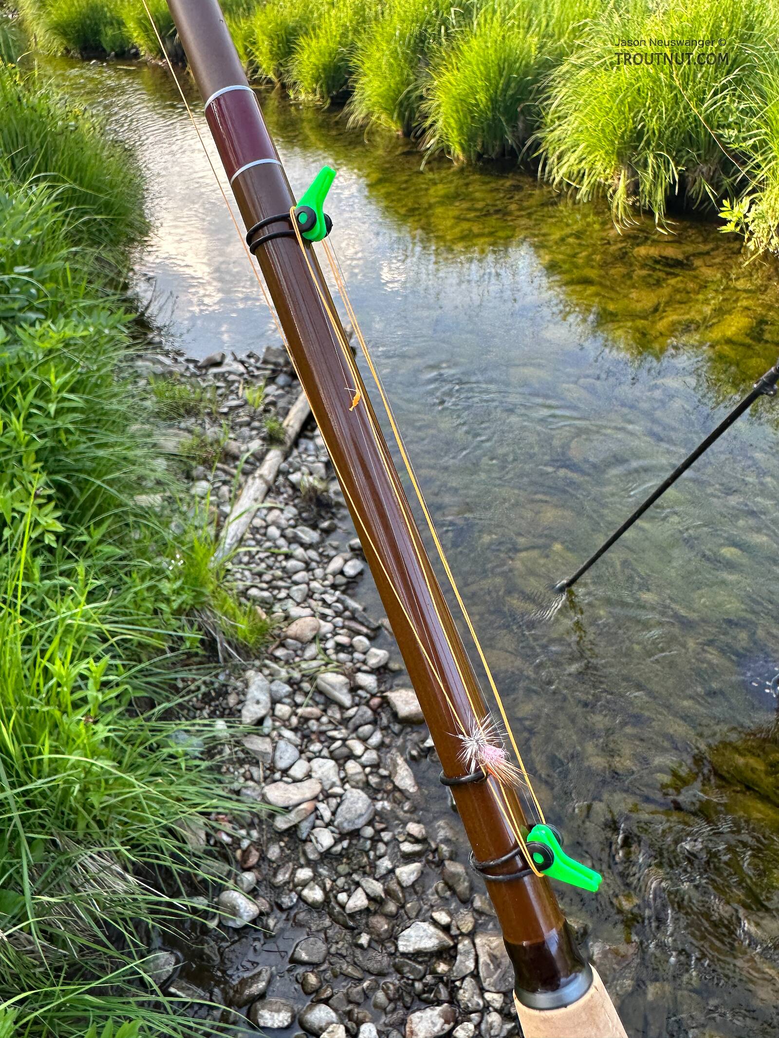 Troutnut: Fly Fishing and Hatch Knowledge, Photos, and Discussions ...