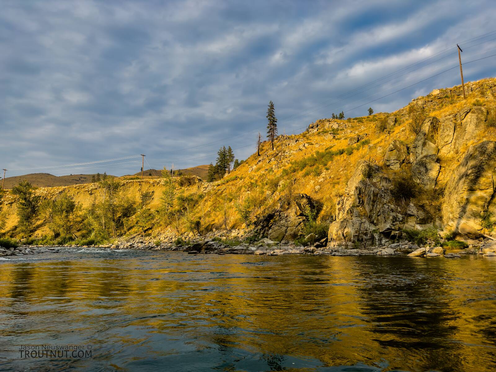 Troutnut: Fly Fishing and Hatch Knowledge, Photos, and Discussions ...