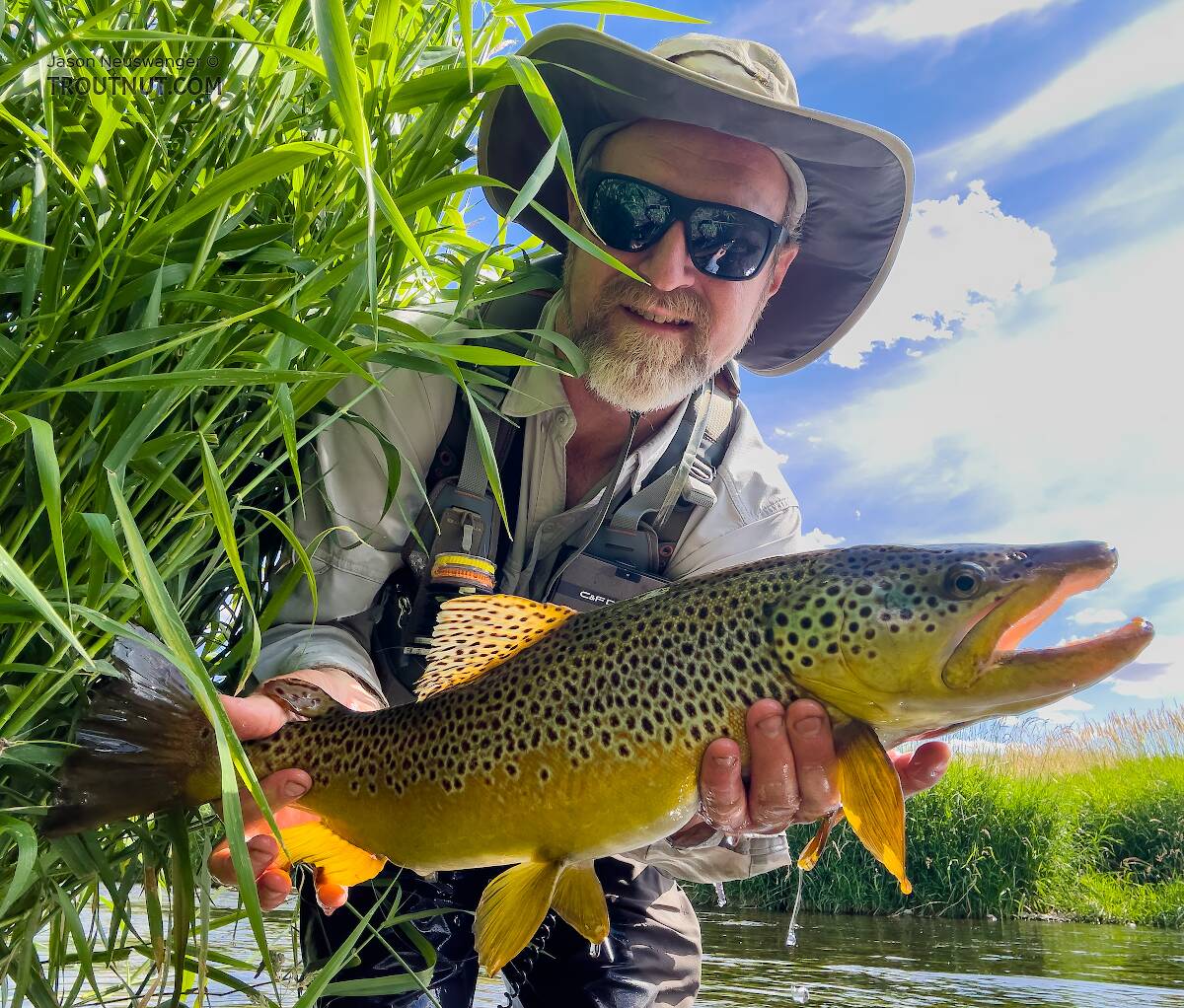 Troutnut's Best Pictures of Trout, Salmon, and Grayling
