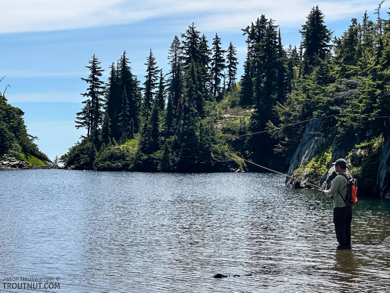 Troutnut's Nature Pictures