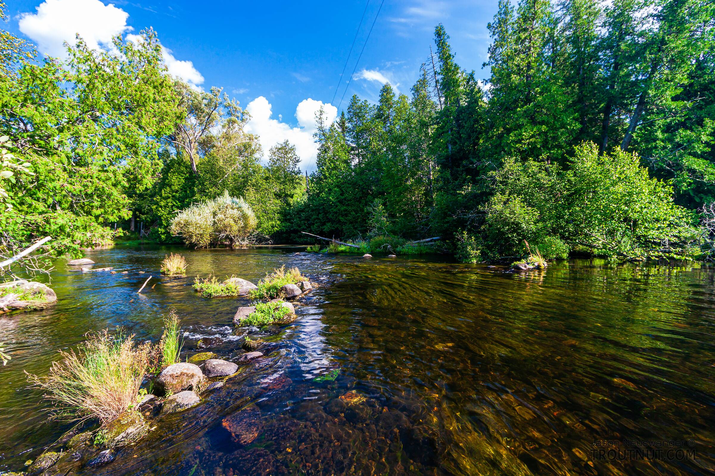 The Bois Brule River, Wisconsin