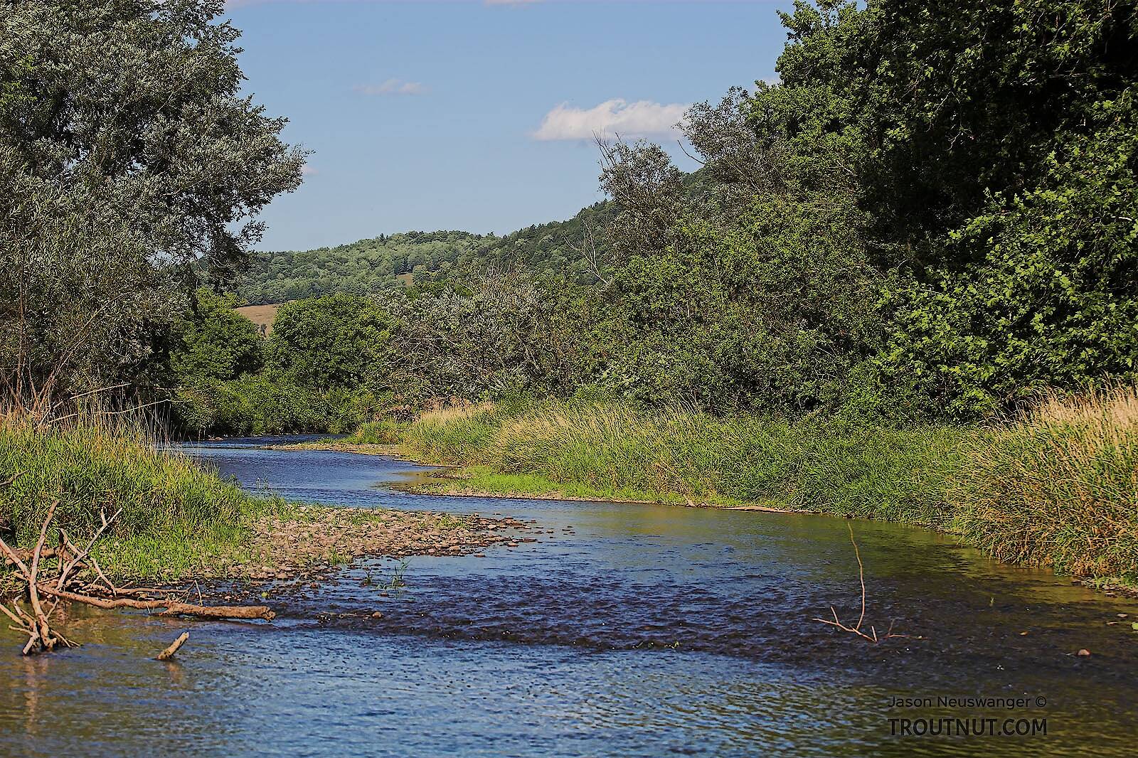 The West Branch of the Delaware River, New York