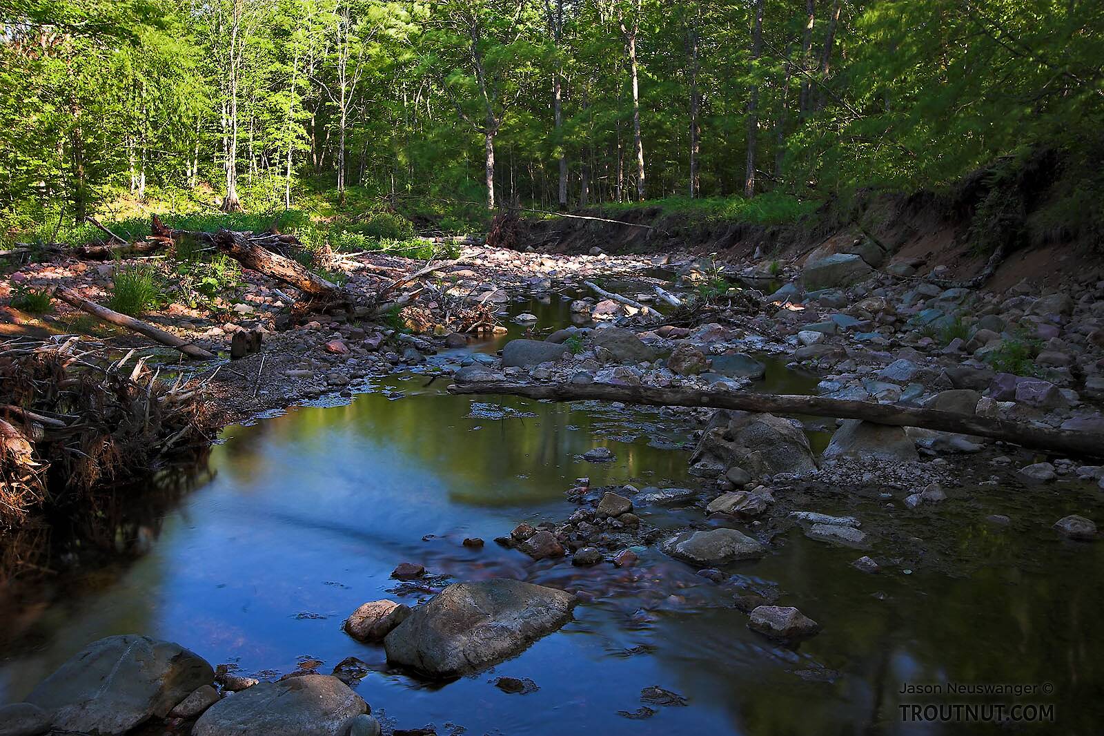 Spring Creek, Wisconsin