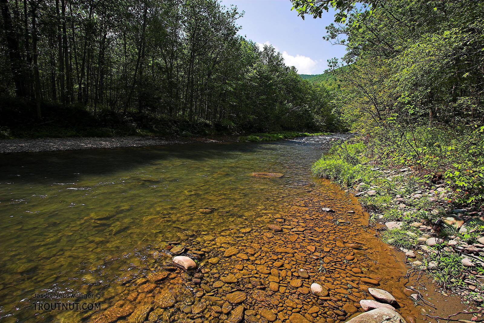 Esopus Creek, New York