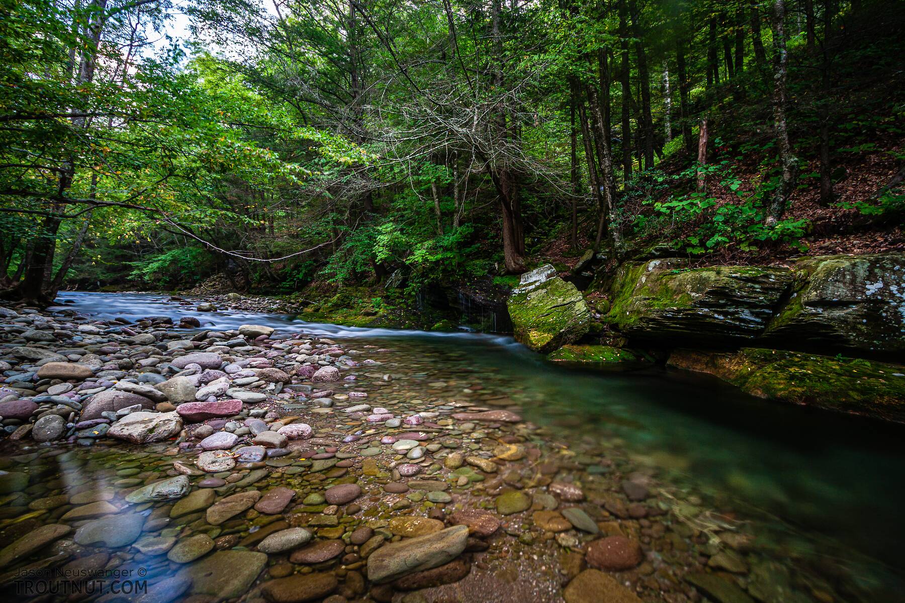 Troutnut's Best Pictures of Trout, Salmon, and Grayling