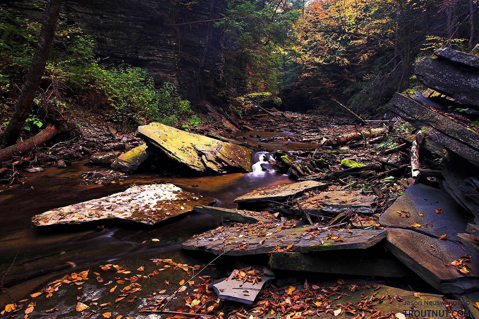 Sixmile Creek, New York