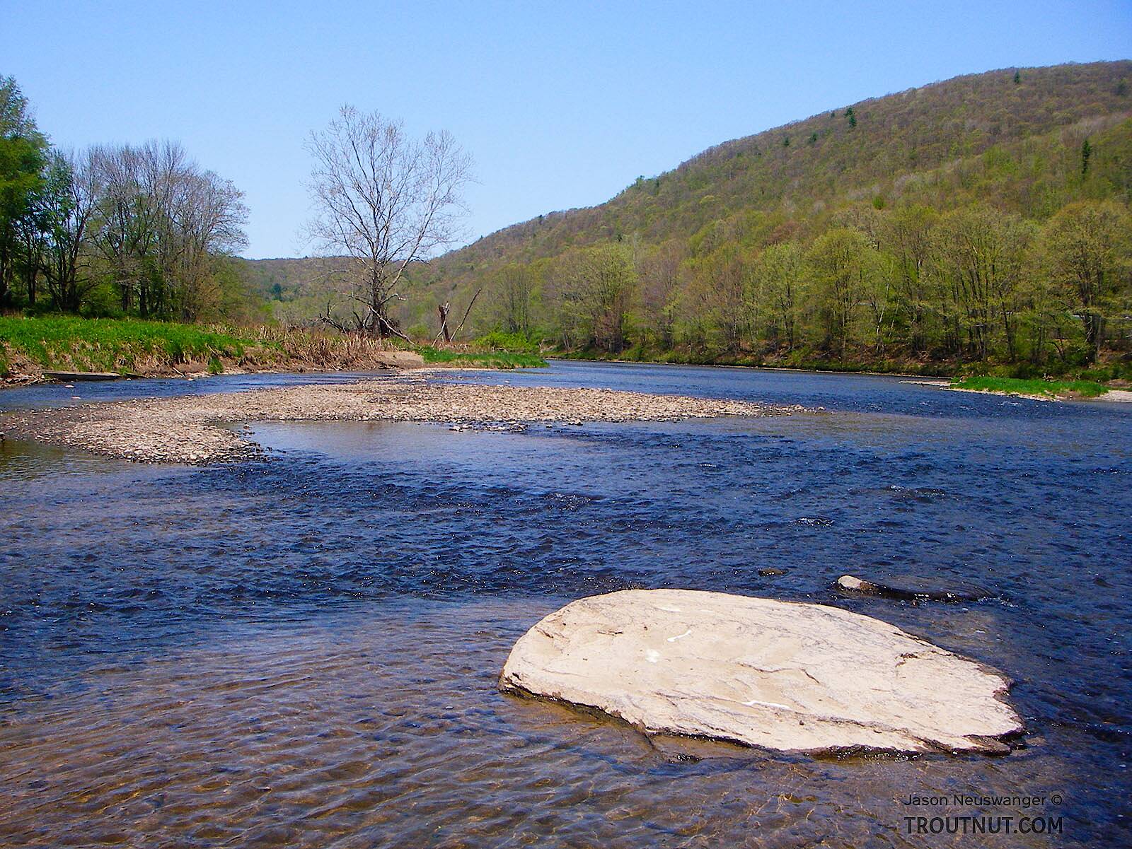 The West Branch of the Delaware River, New York