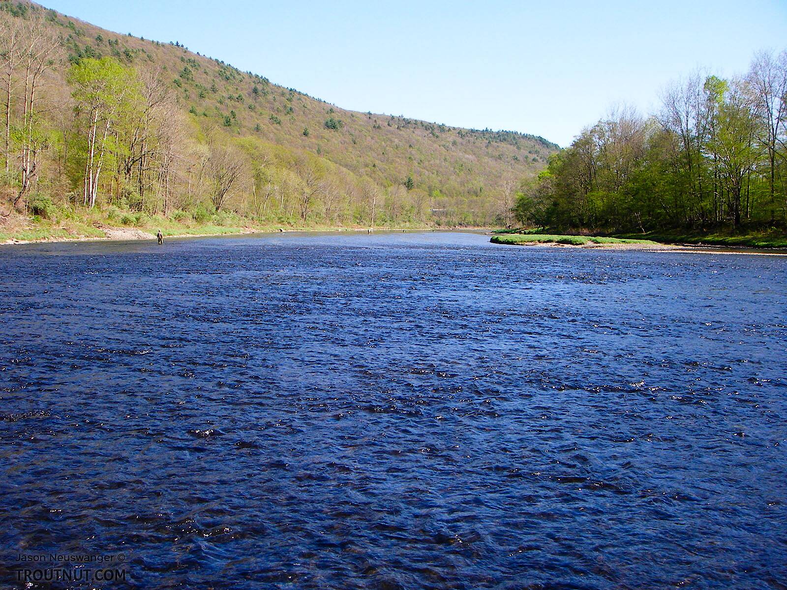 The West Branch of the Delaware River, New York