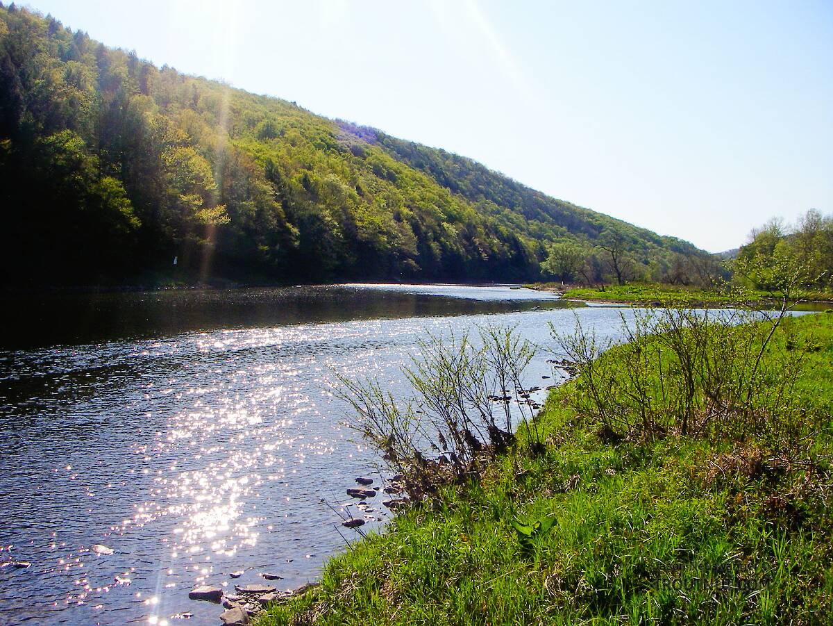 The West Branch of the Delaware River, New York