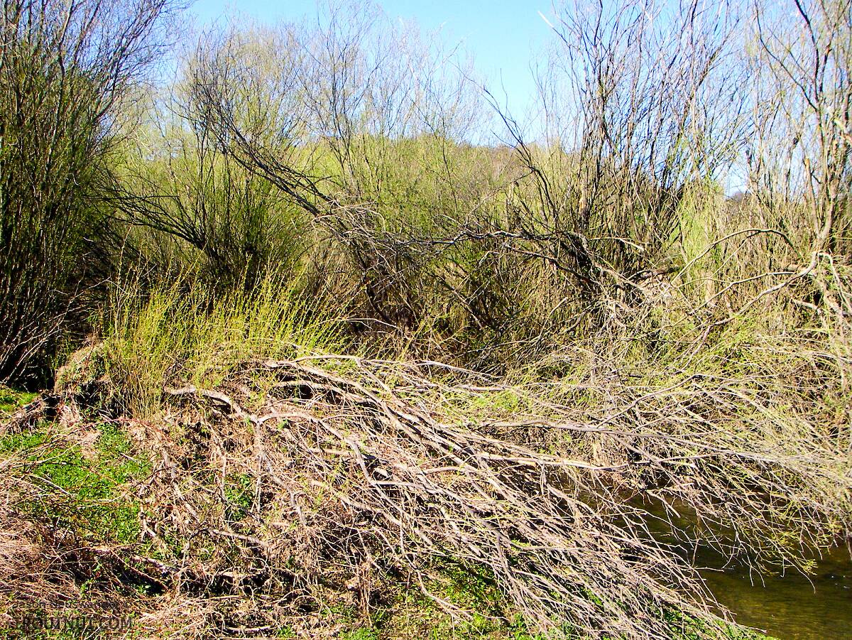 Factory Brook, New York