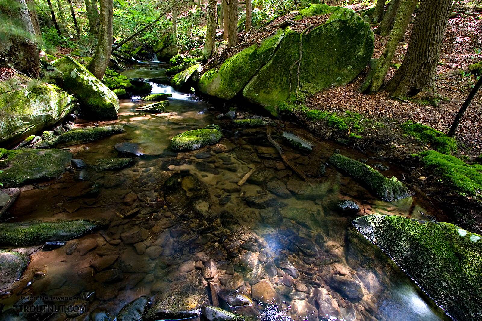 The Neversink River, New York