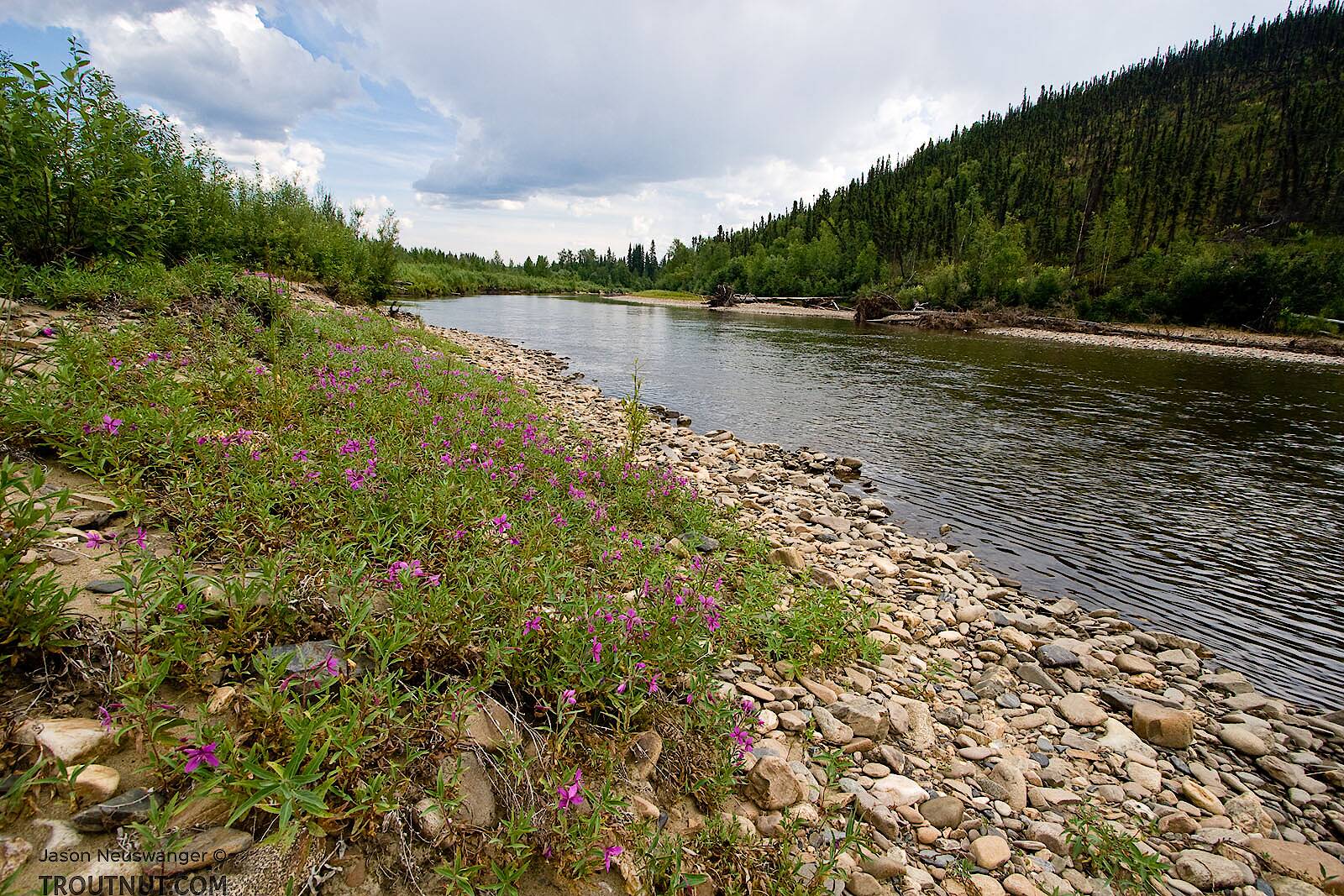 The Chena River, Alaska