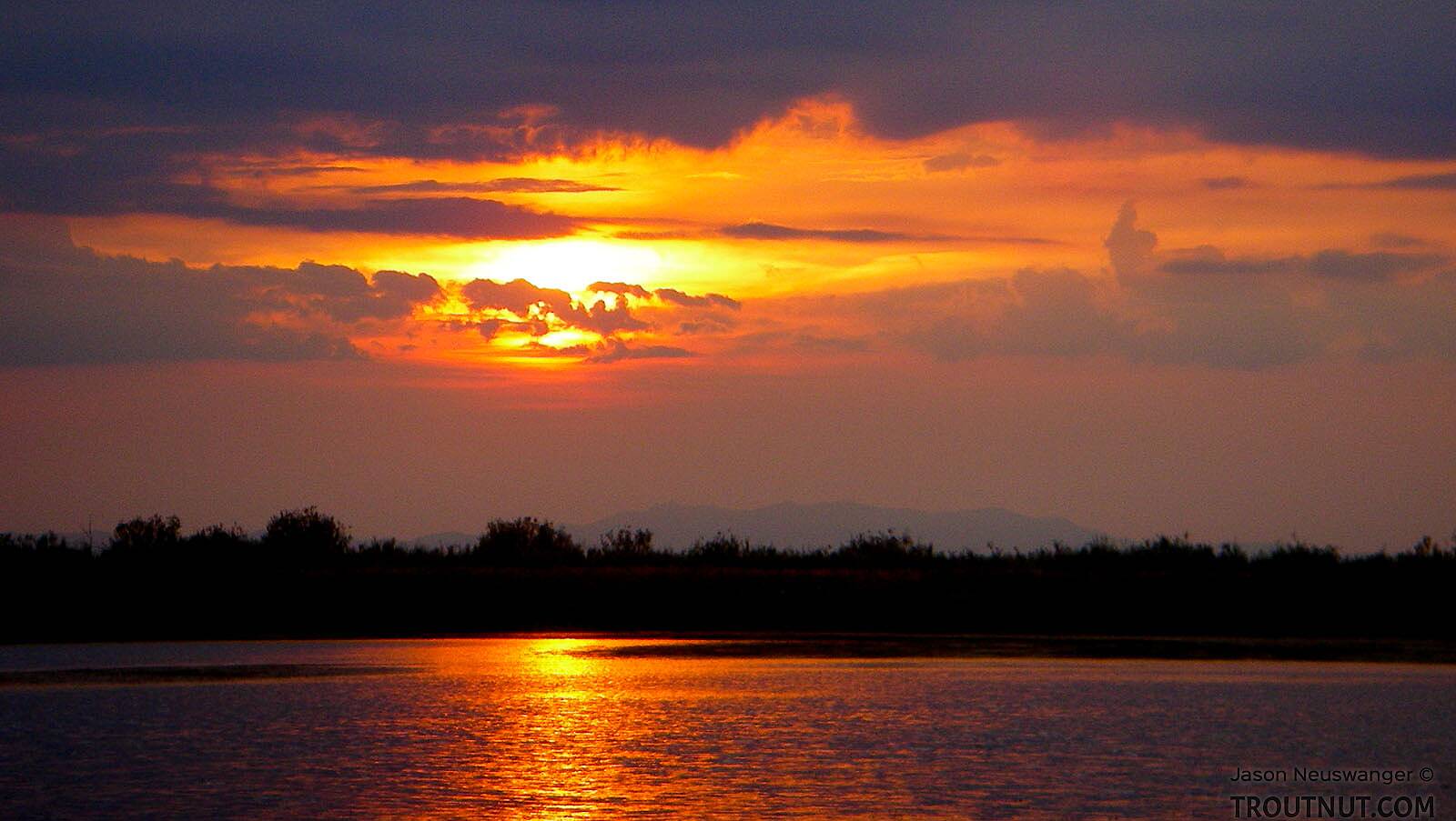 Minto Flats, Alaska