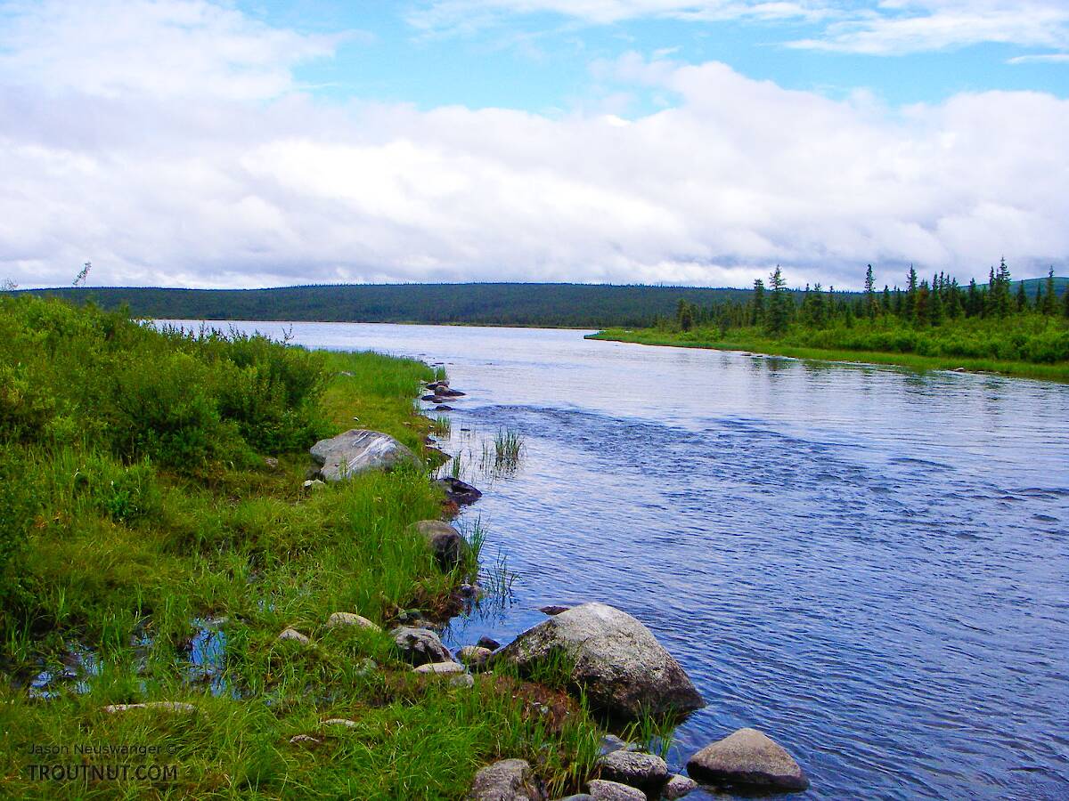 The Gulkana River, Alaska