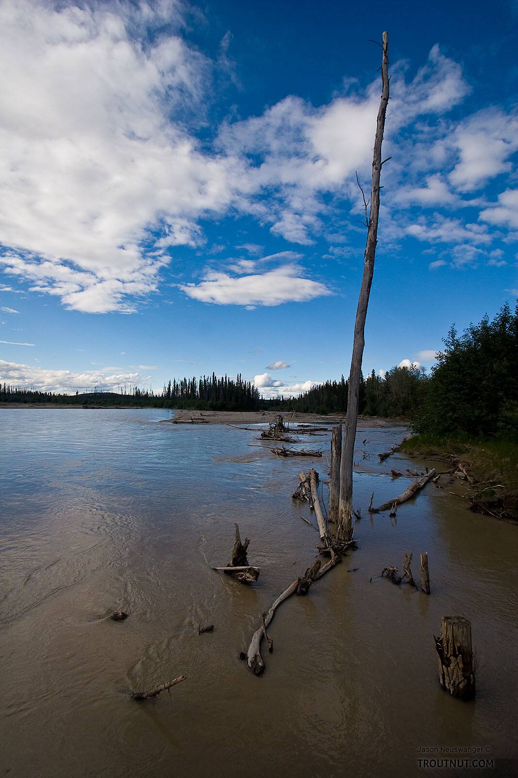 The Tanana River, Alaska