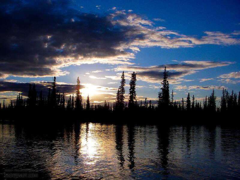 The Delta Clearwater River, Alaska