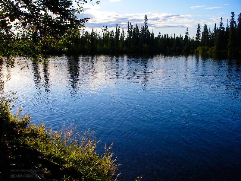 The Delta Clearwater River, Alaska
