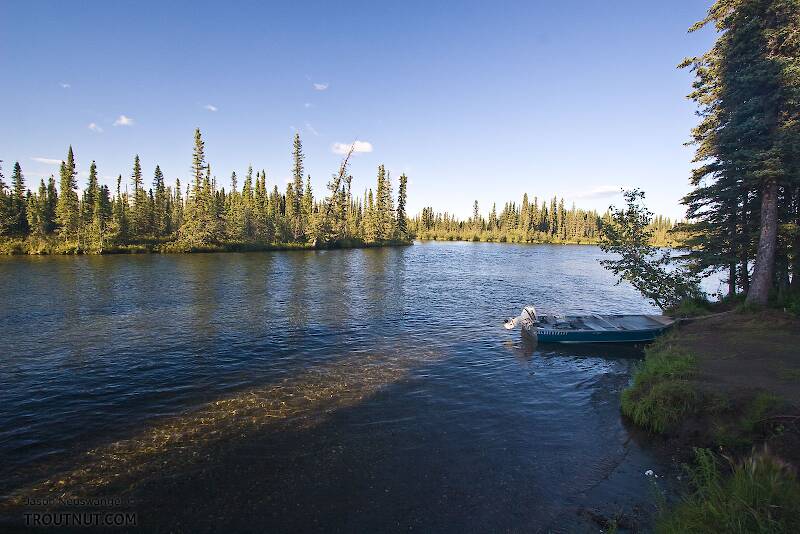 The Delta Clearwater River, Alaska